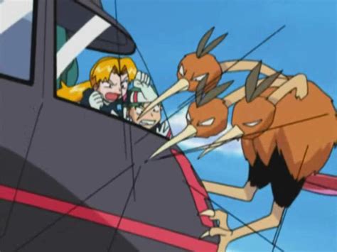Image Gary Dodrio Drill Peckpng Pokémon Wiki Fandom Powered By Wikia