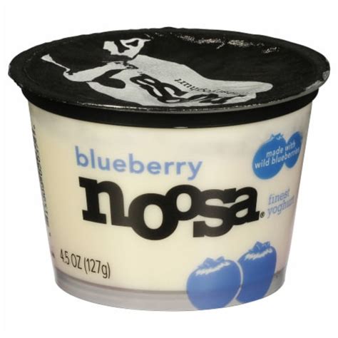 Noosa® Blueberry Yogurt Cup 45 Oz Kroger