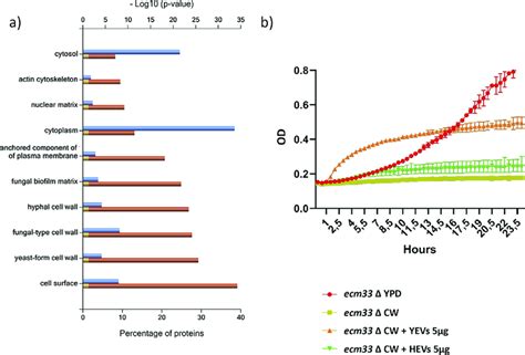 Proteins Identified In Both Types Of Evs Are Enriched In Cell Surface