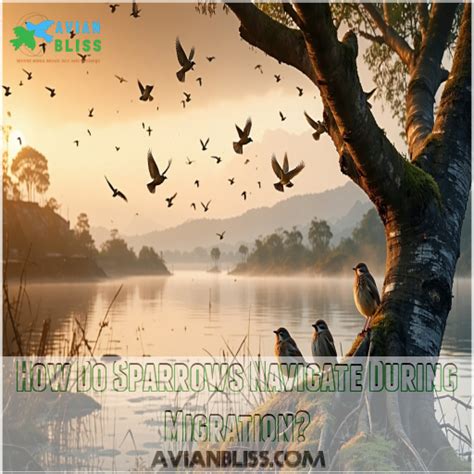 Do Sparrows Migrate Patterns Winter Habits And Climate Effects