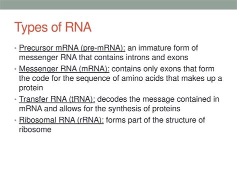 Rna And Protein Synthesis Ppt Download
