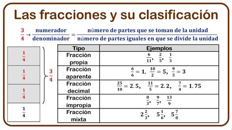 Como Se Clasifican Las Fracciones Bourque