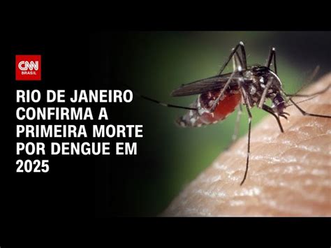 Rio Tem Primeira Morte Por Dengue Confirmada Em 2025 CNN Brasil