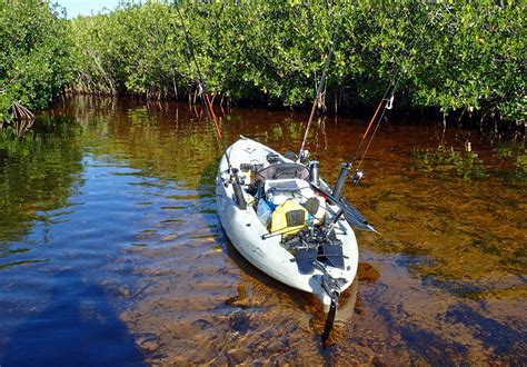 Ten Thousand Islands Backcountry Kayaking Florida Sportsman