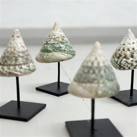 Conical Shell On Stand Orient House