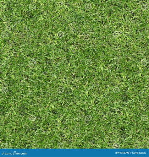 Green Grass Seamless Texture Seamless In Horizontal And Vertical Dimensions Stock Image