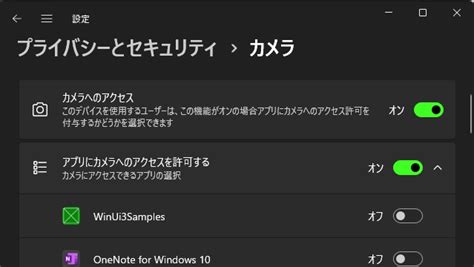 C Winui3 のカメラにアクセスしたアプリを一覧から削除する方法 マゴトログ シュミニイキル
