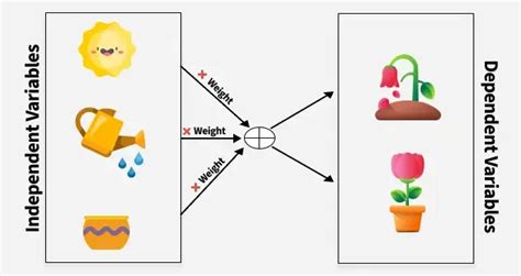 Covariance And Correlation Geeksforgeeks