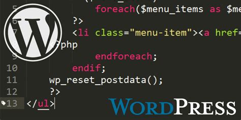 How To Remove Every Class And ID From WordPress Wp Nav Menu