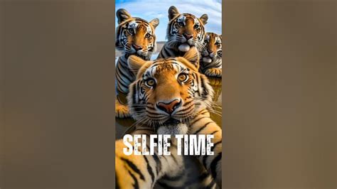 Selfie 😂 Poses Time Sunday Funday 😂 Youtube Best Youtube