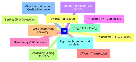 Article On Streamlining Crispr Workflow In Ipscs A Guide To Precision And Success