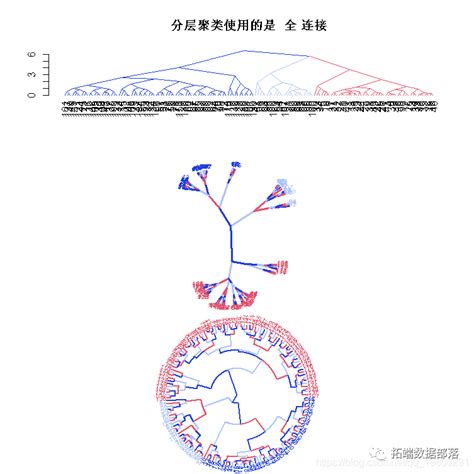 R语言多维数据层次聚类散点图矩阵、配对图、平行坐标图、树状图可视化城市宏观经济指标数据 Csdn博客