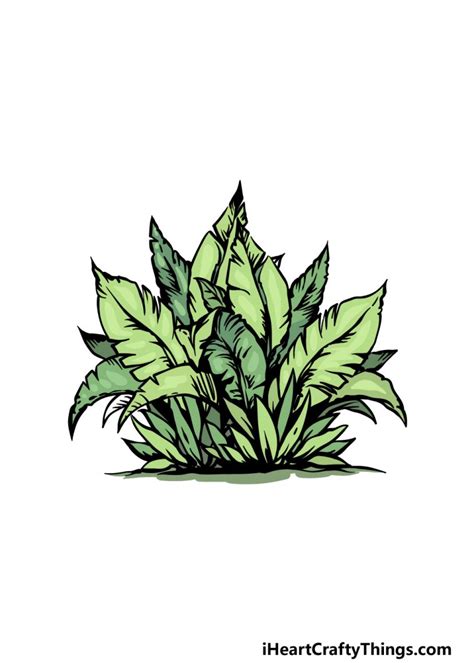 Bush Drawing How To Draw A Bush Step By Step