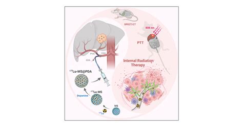 Polydopamine Coated Radiolabeled Microspheres For Combinatorial