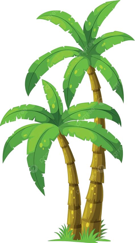 Palm Tree Trunk Drawing