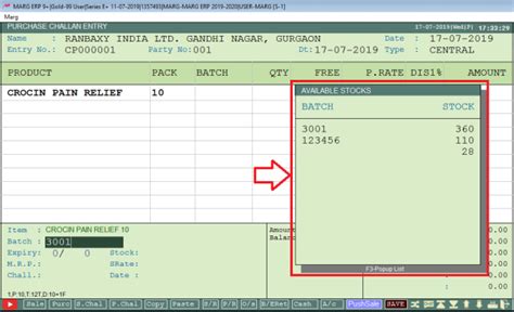 How To Create Purchase Challan In Marg Software