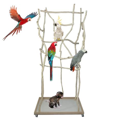 Bird Perch Stand