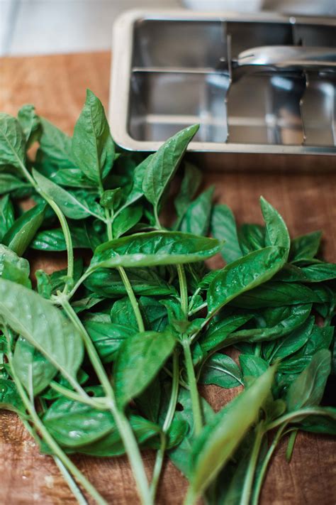 How To Dry Freeze Herbs Diana Elizabeth