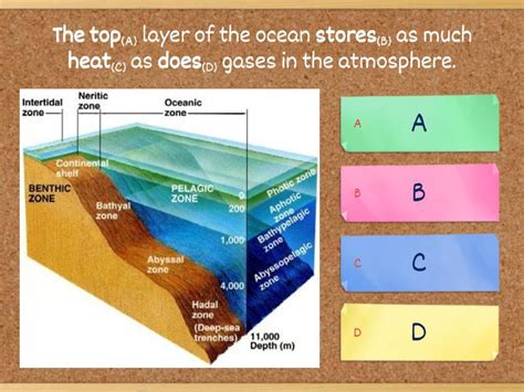 Lesson 34 Errors With Verbs Quiz