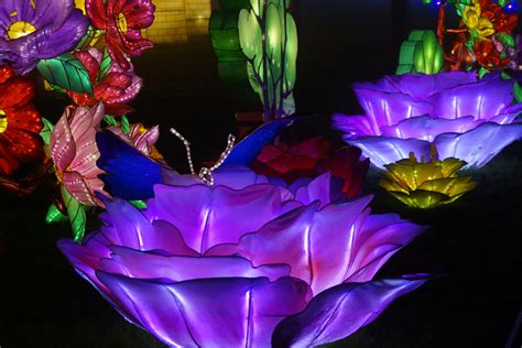 160fe11 Free Image Hosting Service