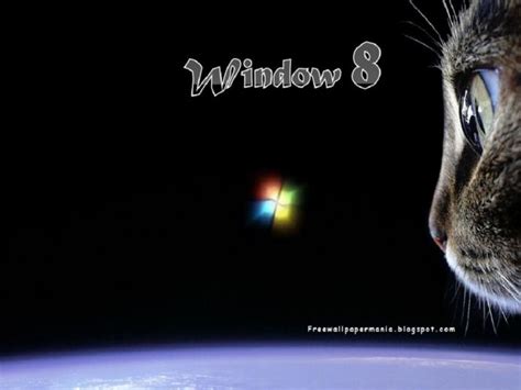 Sexy Wallpapers Windows WallpaperSafari