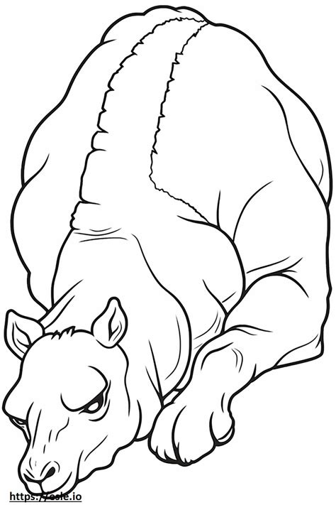 Bactrian Camel Sleeping Coloring Page