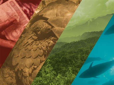 Tnrc Model Results Integrating Anti Corruption Into Traceability