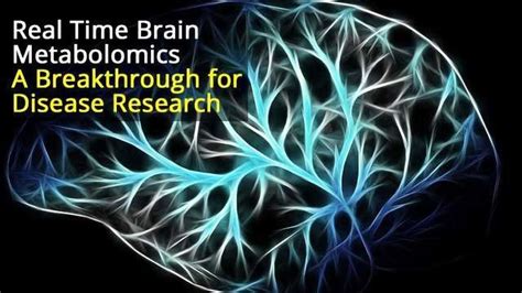 Real Time Metabolomics In The Brain Technology Networks