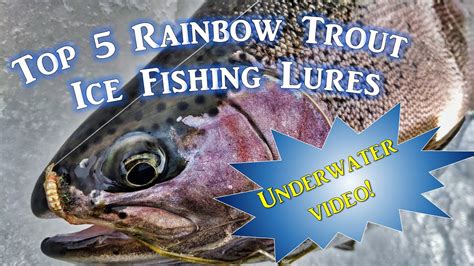 Rainbow Trout Fishing Rigs