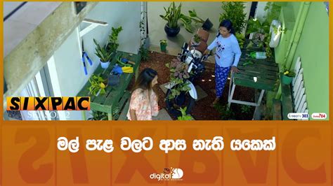 මල් පැළ වලට ආස නැති යකෙක් Youtube