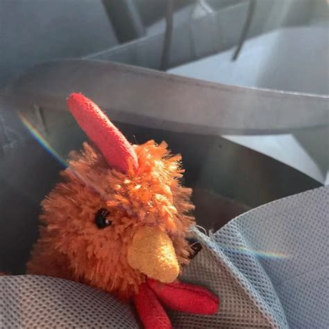 Rooster Plush Toy Fluffy Apollobox