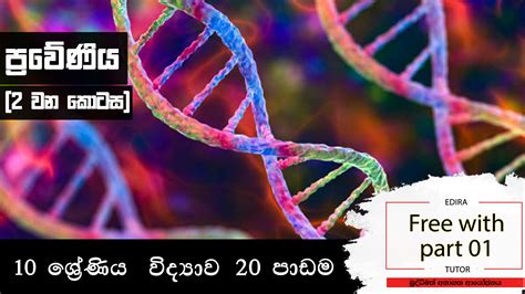 10 ශ්‍රේණිය විද්‍යාව පාඩම 20 2 වන කොටස Edira Tutor