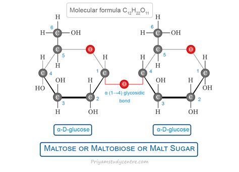 Maltose Sugar Formula Structure Hydrolysis Sources