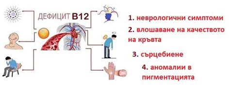 Витамин Б12 Референтни стойности Pmol L Pg Ml Здраве Орг