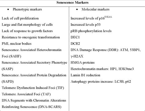 Table 1 1 From Controlling Senescence By Pml And Pml Nuclear Bodies Semantic Scholar