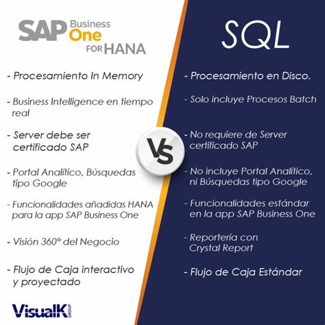 Sap Business One Sql Vs Hana Visualk Group