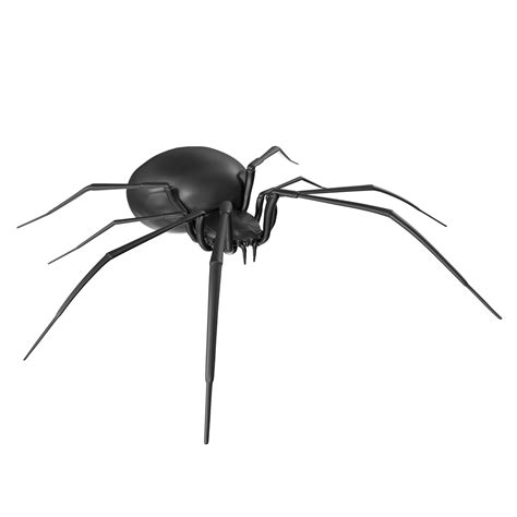Spider Isolated On Transparent Background Png