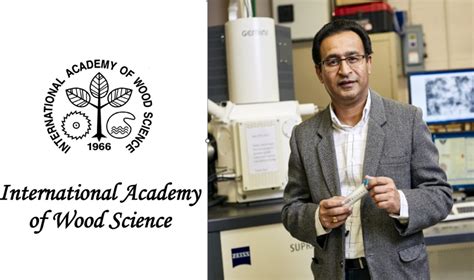 Dr Dilpreet Bajwa Elevated To Fellow Status In International Academy Of Wood Science Indian