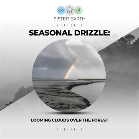 Weather Whirr Relaxation música e letra de Rain Sounds Spotify