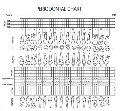 Printable Periodontal Charting Forms A Visual Reference Of Charts Chart Master