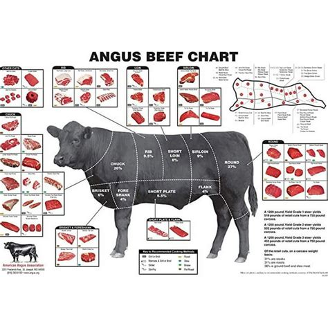 Iconic Arts Angus Beef Cuts Of Meat Chart Poster 18x24