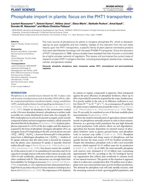 Pdf Phosphate Import In Plants Focus On The Pht1 Transporters