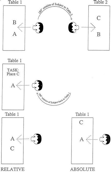 The Transitivity Task Download Scientific Diagram