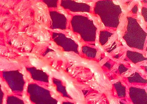 Bright Pink Pattern Fragment Of Fabric Textile Image Under The