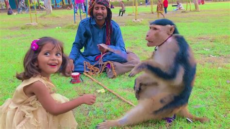 Bandar Madari Tamasha Bandar Ka Khel 😂 Gonga Madari Monkey Funny