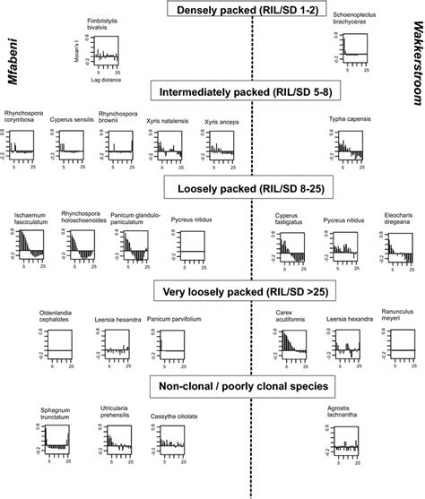 Spatial Autocorrelation Structure For The Common Species In Both