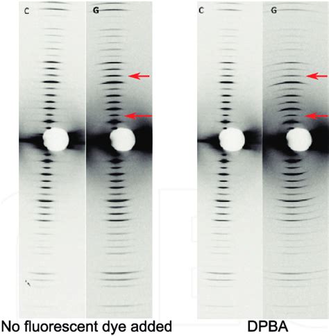 Wax Diffraction Patterns From Non Treated C Glucose G And Treated