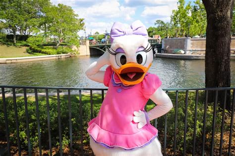 Meet Donald And Daisy Duck At Disney World