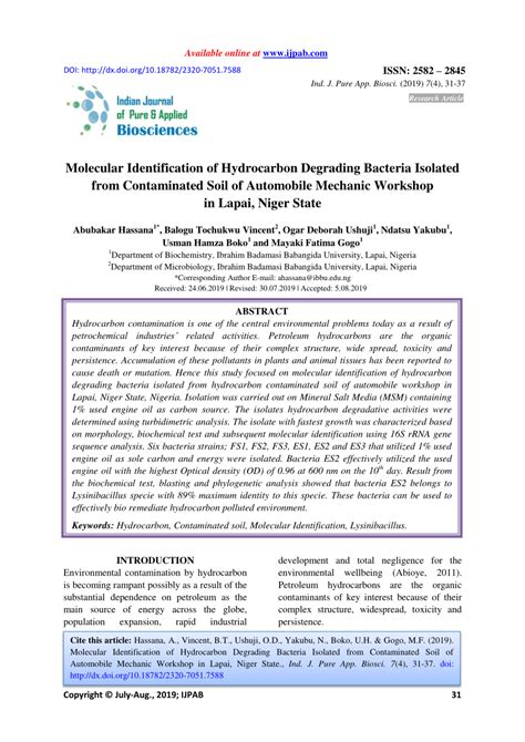 Pdf Molecular Identification Of Hydrocarbon Degrading Bacteria