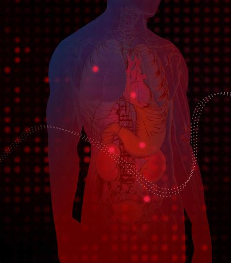 Your body is trying to tell you something: How we perceive what’s ...